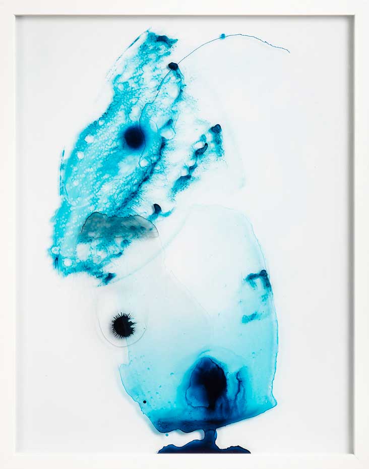 Nicole Charles — Notice: A change is proposed / Exhibition